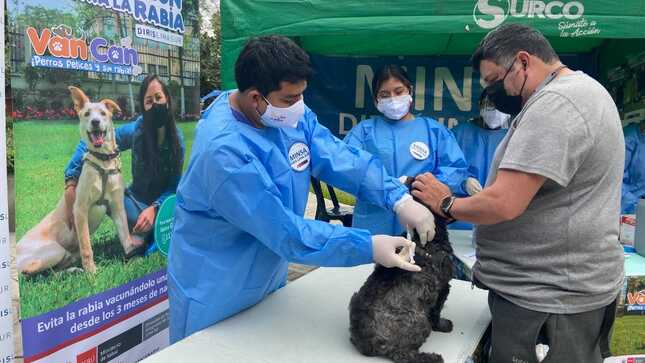 Vancan Más De 228 000 Canes Serán Vacunados Contra La Rabia En Los